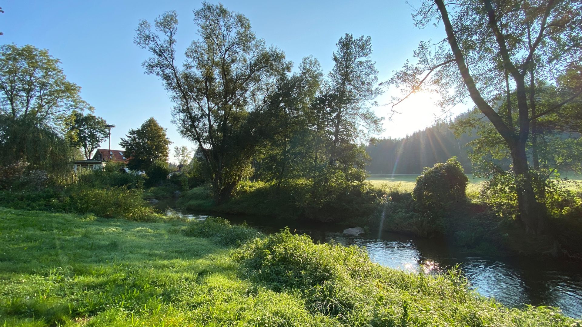 Sobre la joven Thaya - El Molino